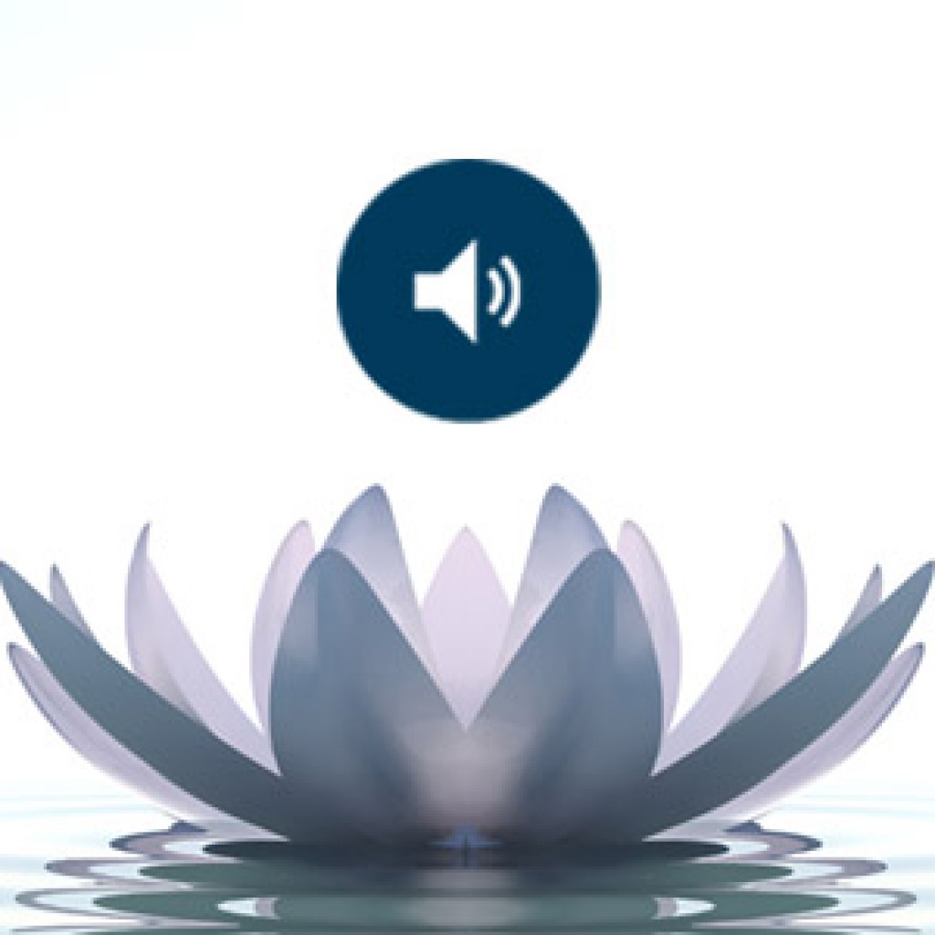 featured image 800x300-9 - Huntington Meditation & Imagery Center